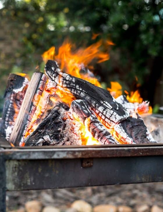 Grilled angelfish Braai Style - PantsDownApronsOn