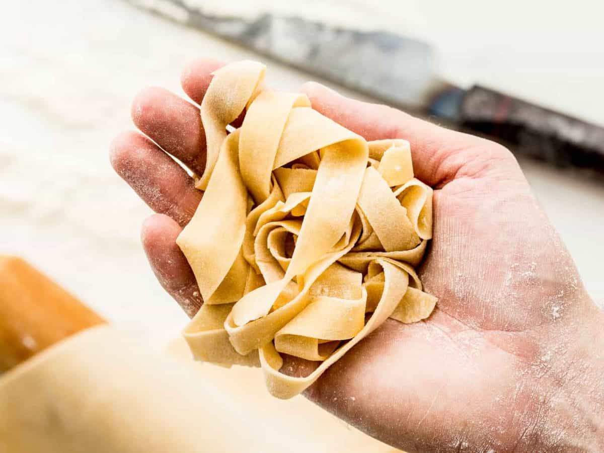 Easy 2 Ingredient Homemade Pasta Recipe | No Pasta Machine Needed