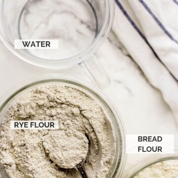 Sourdough Rye Starter - Complete Guide + Video