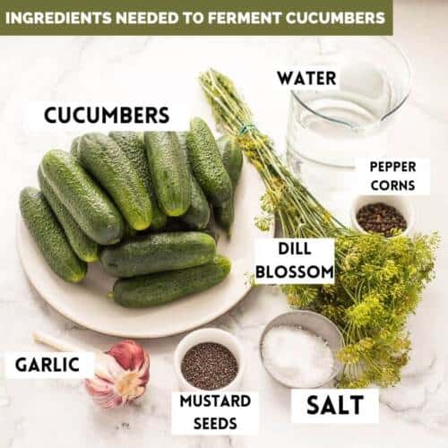 Easy Homemade Fermented Cucumber Dill Pickles (Video)